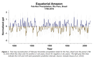 The rain in the Amazon falls mainly at random - Climate Discussion Nexus