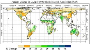 CO2 fertilization effects on global leaf area index - Climate ...