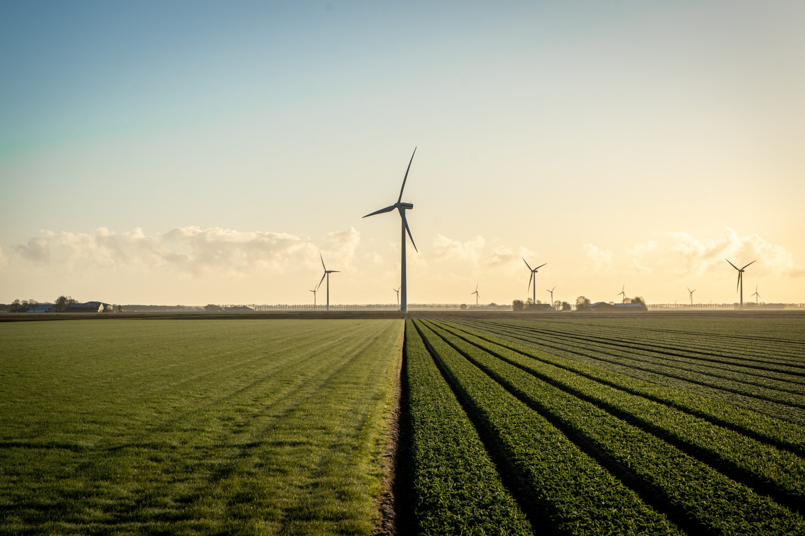 A great wind, or not? - Climate Discussion Nexus