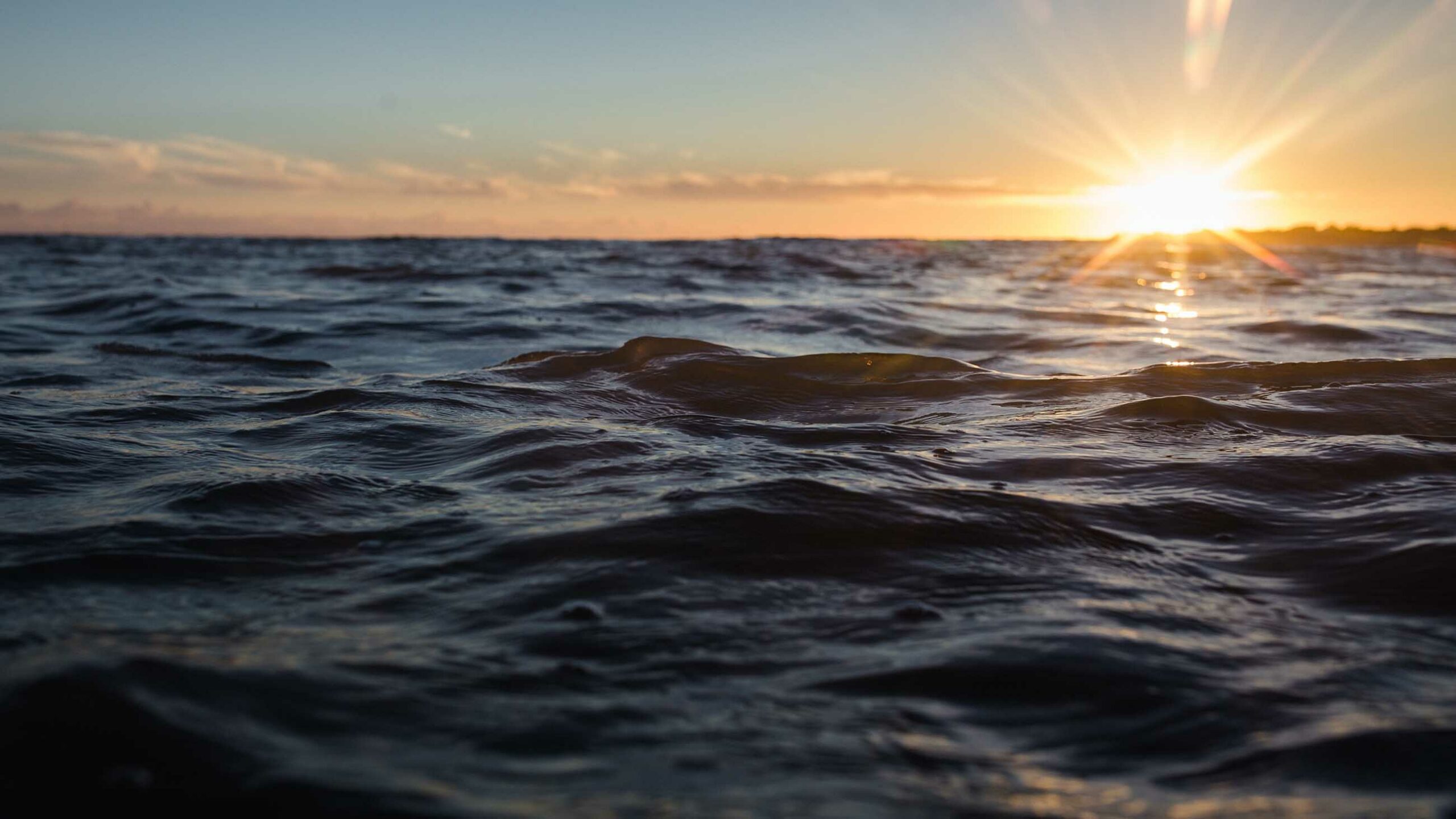 Of rising seas and cities - Climate Discussion Nexus