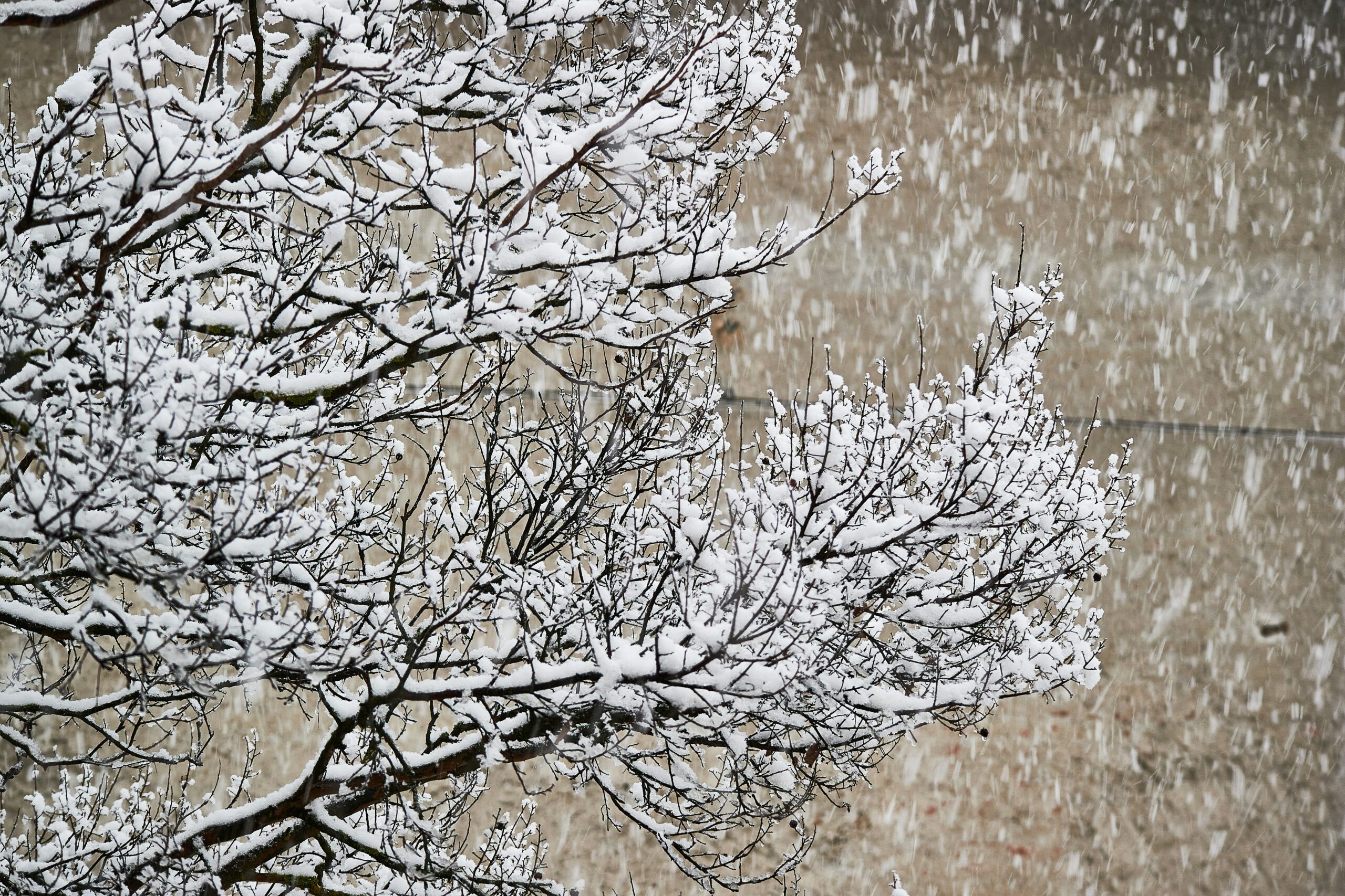 #HaveItBothWays: Global warming and Great Lakes snowfall - Climate ...