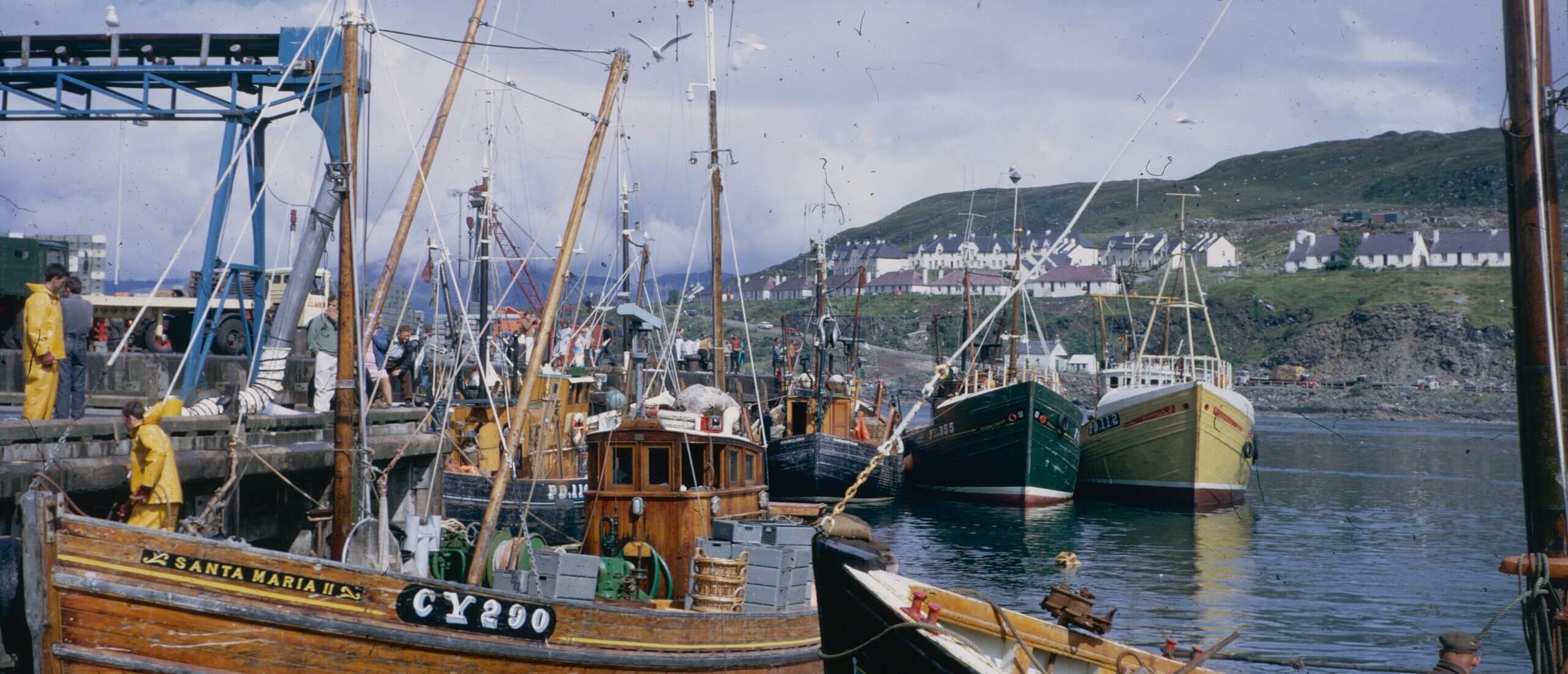 #HaveItBothWays: Atlantic cod stocks - Climate Discussion Nexus