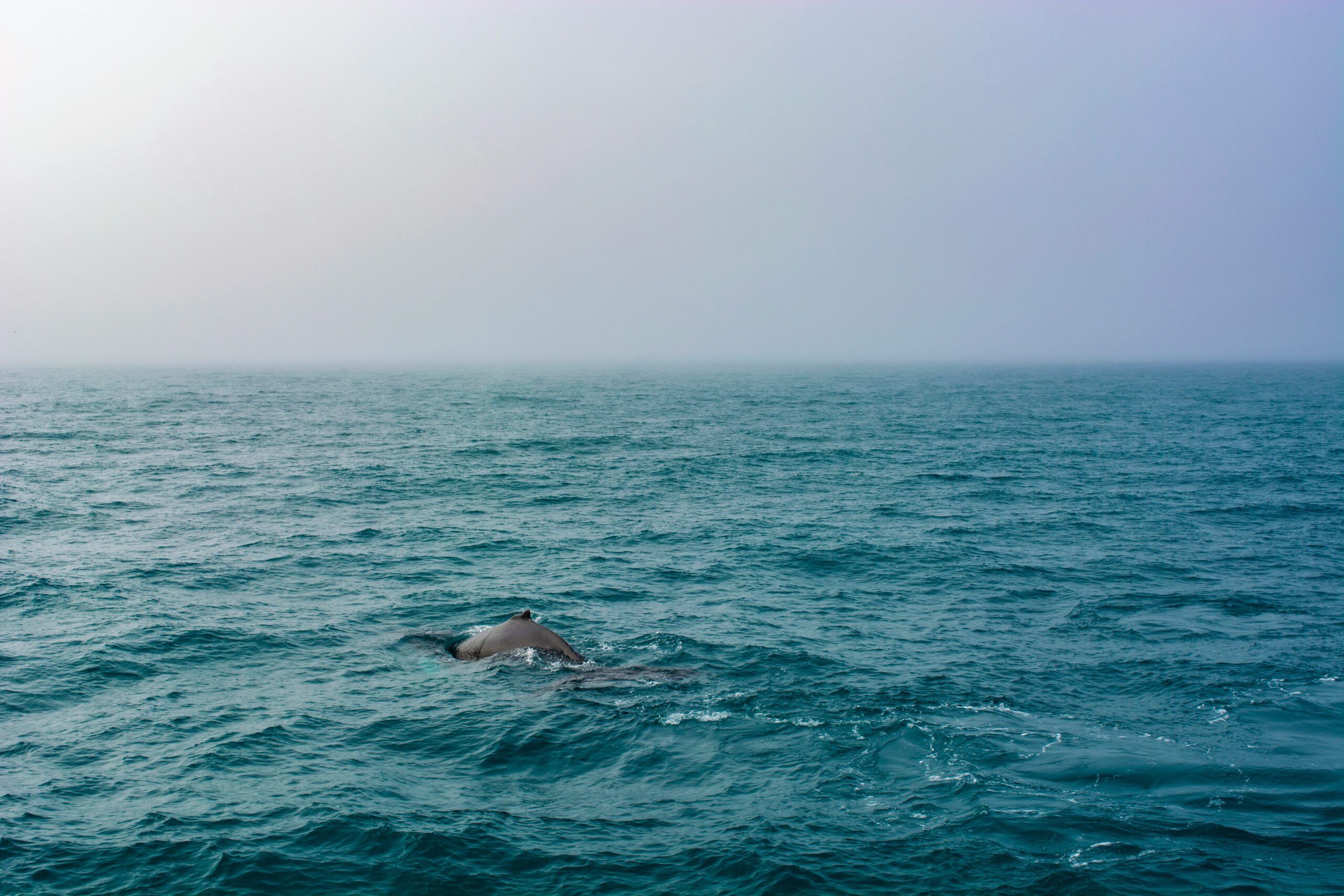 #HaveItBothWays: Saltiness of the North Atlantic - Climate Discussion Nexus